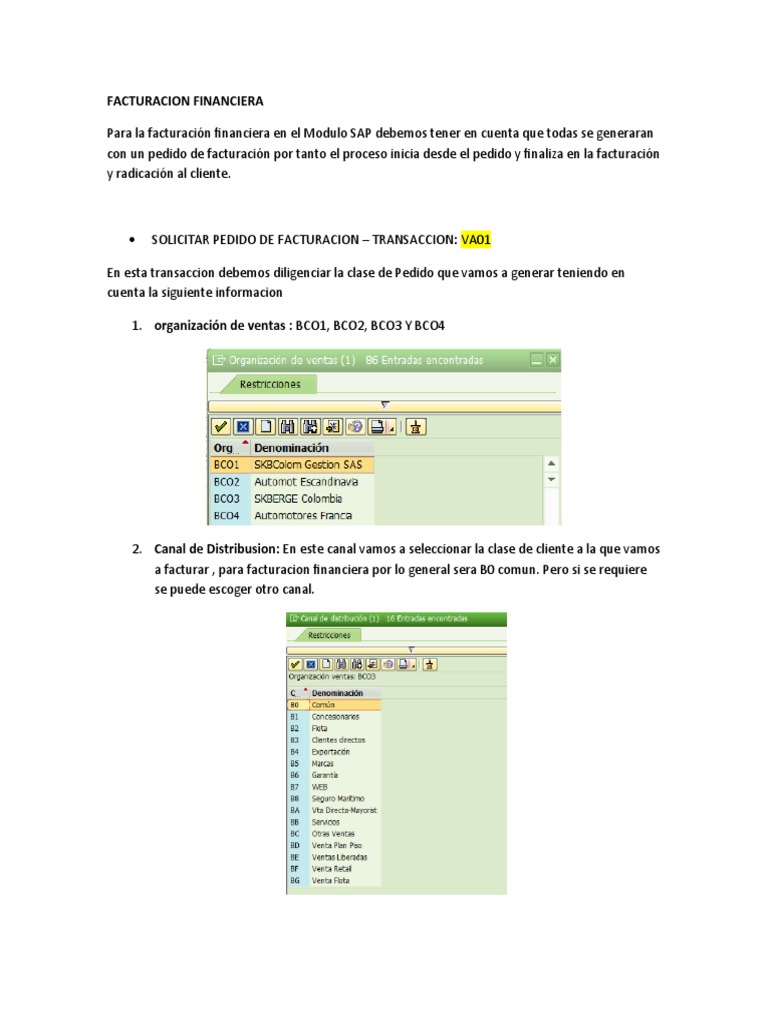 Transaccion Va01-Facturacion Financiera | PDF | Factura | Informática