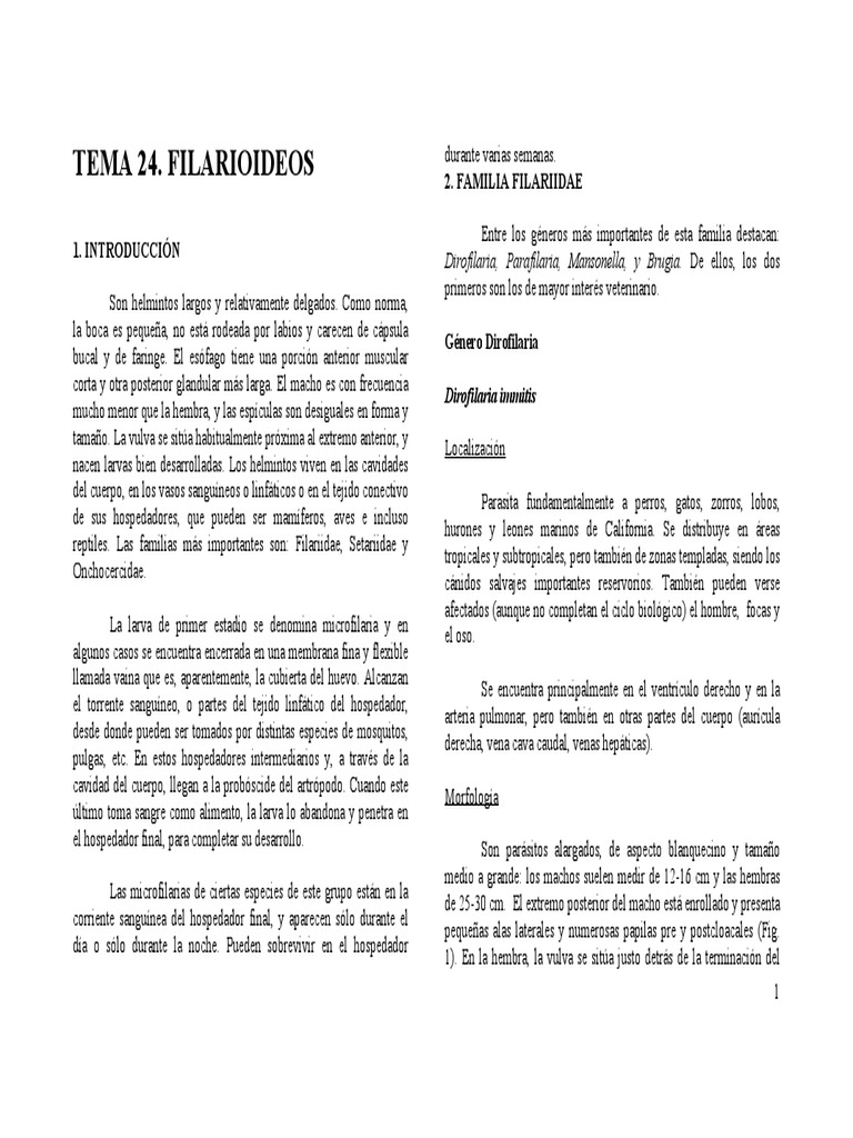 Superfamilia Filarioidea | PDF | Zoología | Biología