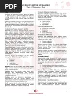 Muhasebe Staj Dosyası Örneği | PDF