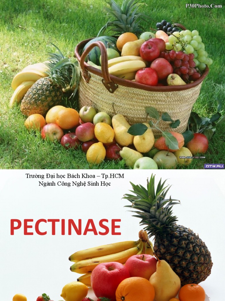 Thuyết Trình Enzyme Pectinase-Tailieutuoi | PDF