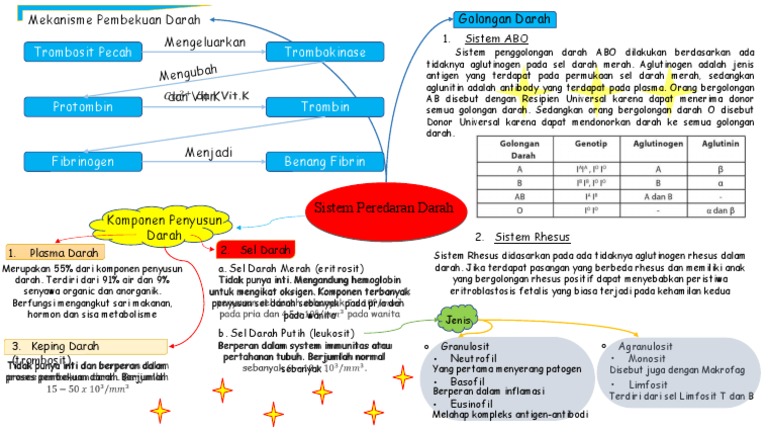 MindMapping Sistem Peredaran Darah | PDF