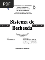 Clasificación de Bethesda de La Citología Cervical | PDF | Cáncer ...