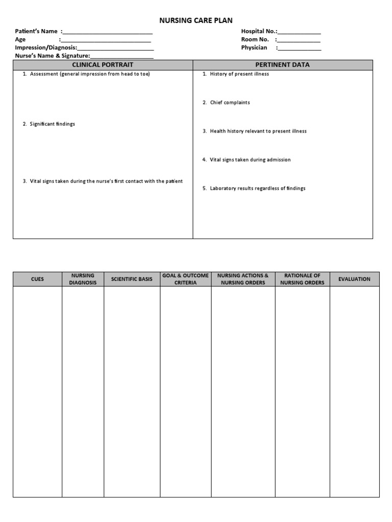 NURSING CARE PLAN Template | PDF