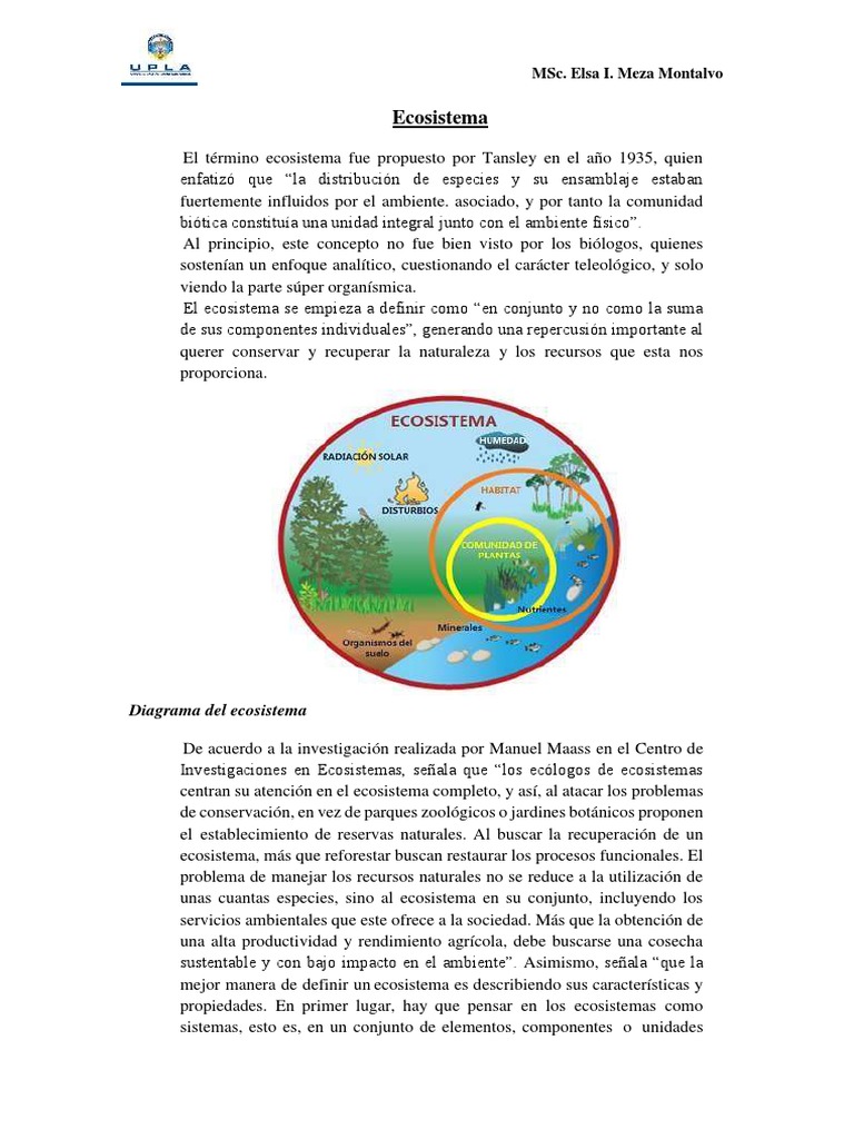 Lectura Ecosistema | PDF | Ecosistema | Suelo