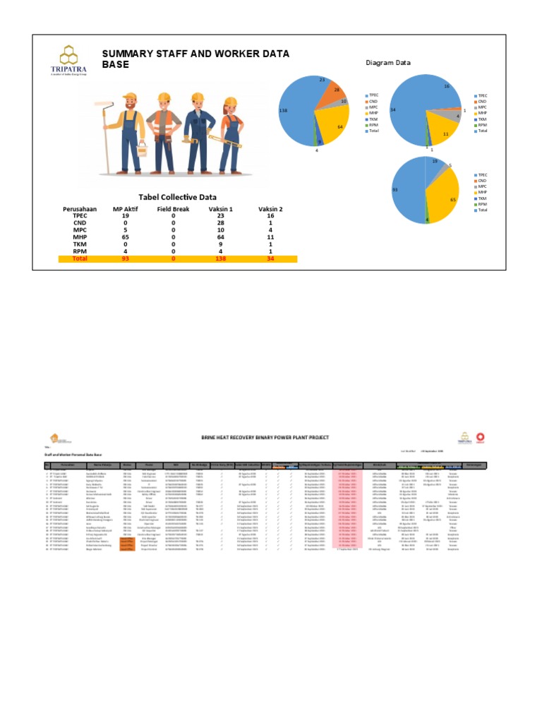 Summary Staff and Worker Data Base | PDF