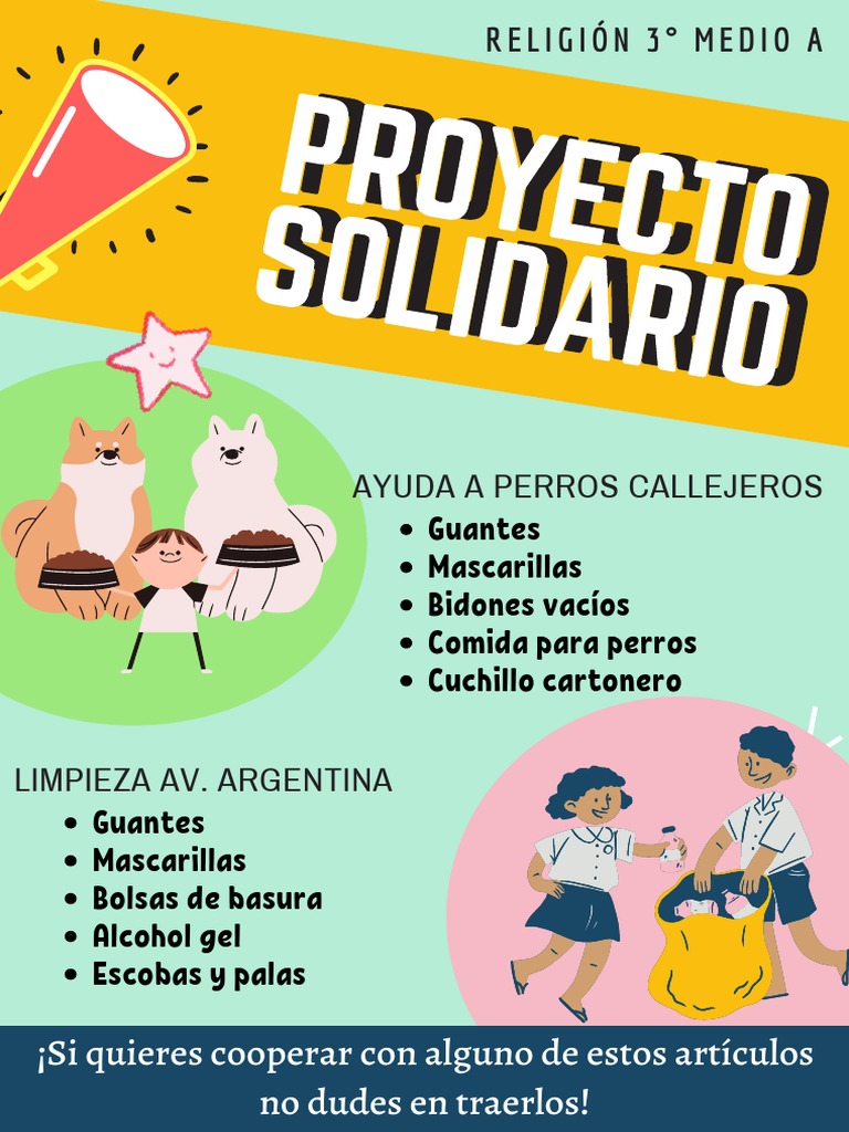 Proyecto Solidario | PDF