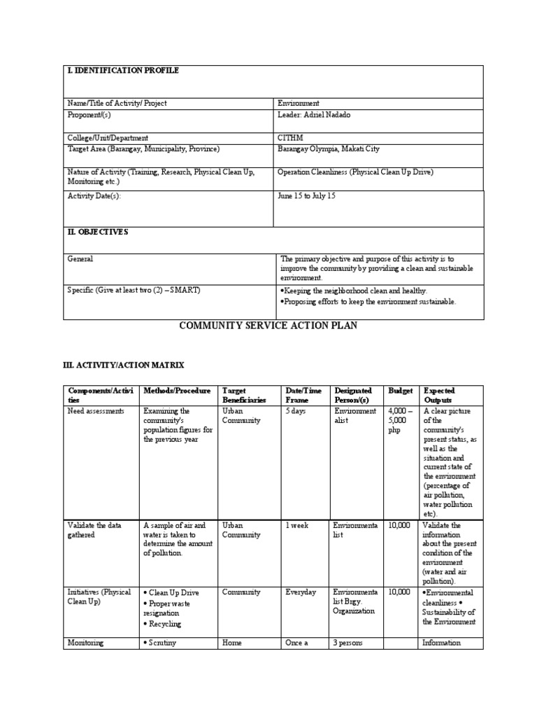 I. Identification Profile: Community Service Action Plan | PDF