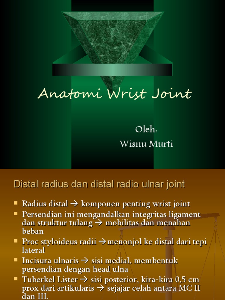 Anat Wrist Joint | PDF