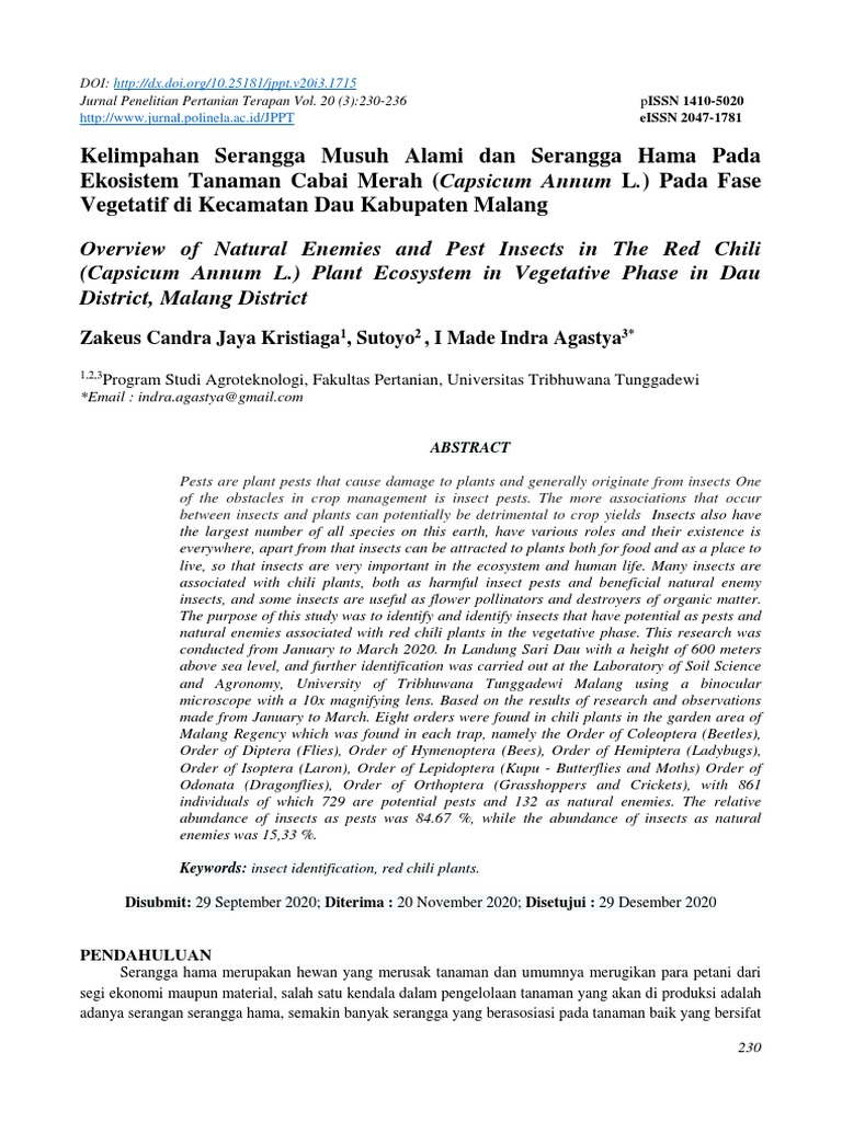 Kelimpahan Serangga Musuh Alami Dan Serangga Hama Pada Ekosistem ...