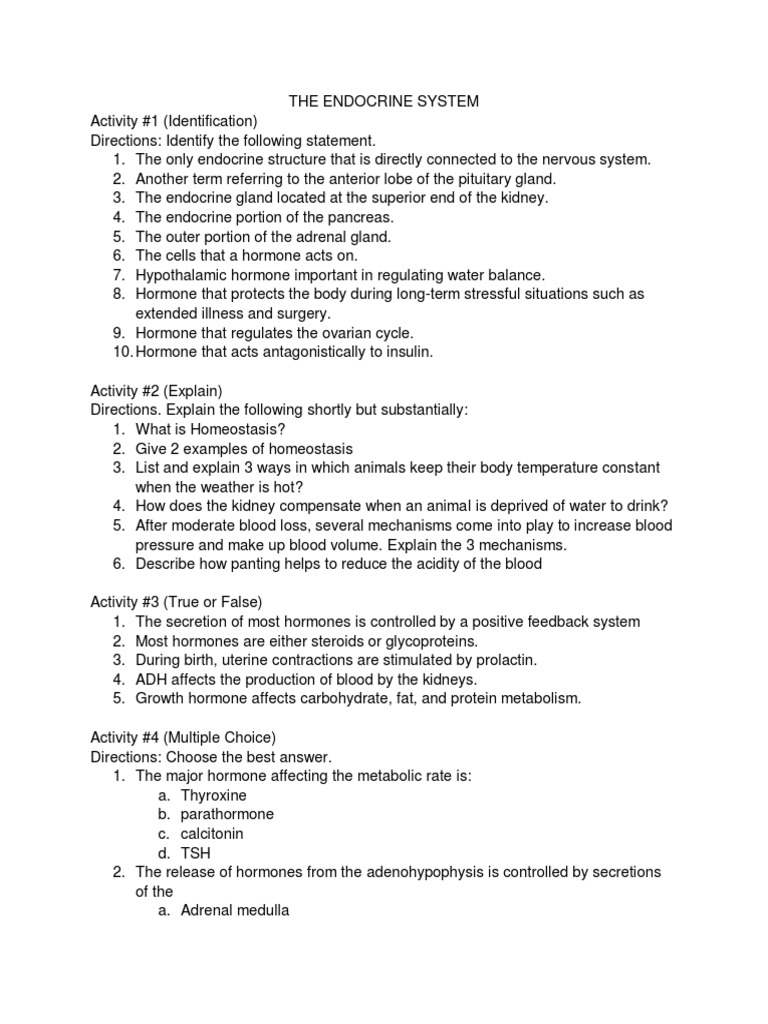 Endocrine System Activity Guide | PDF | Endocrine System | Pituitary Gland