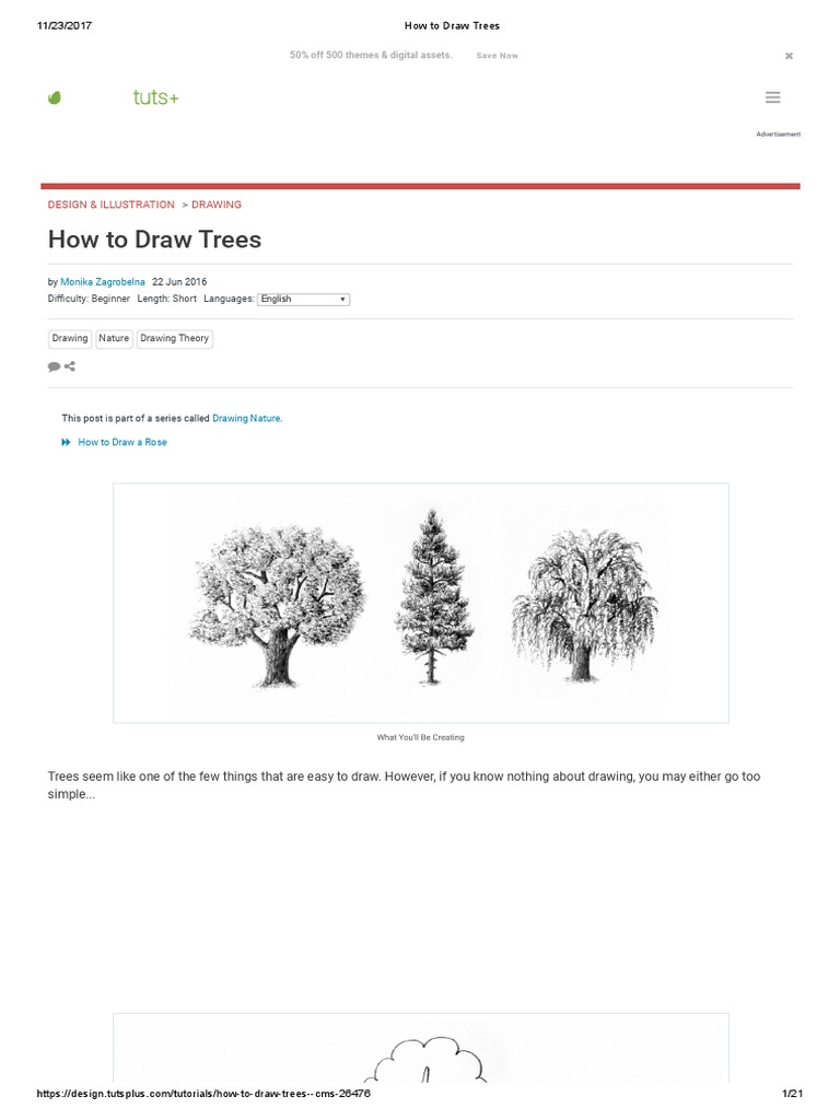 How To Draw Trees | PDF | Drawing | Trees