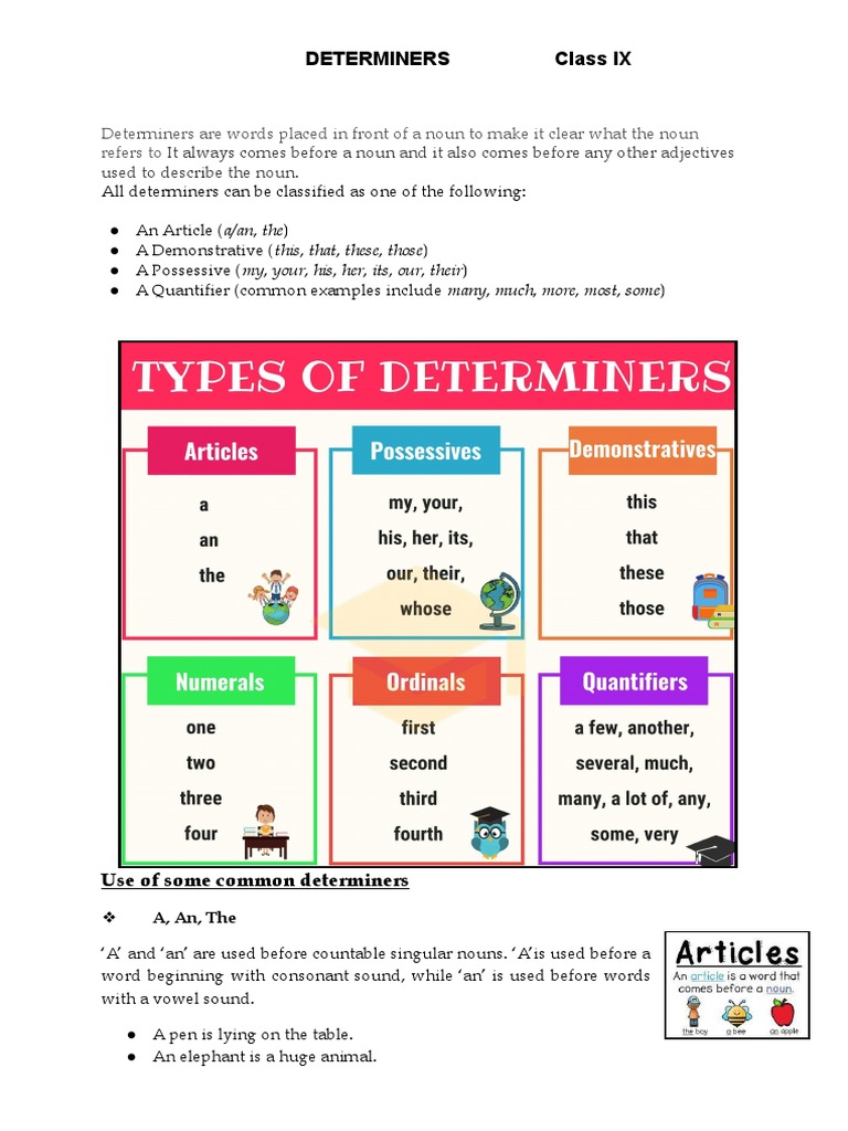 Class 9 Guide to Determiners | PDF | Noun | Grammatical Number