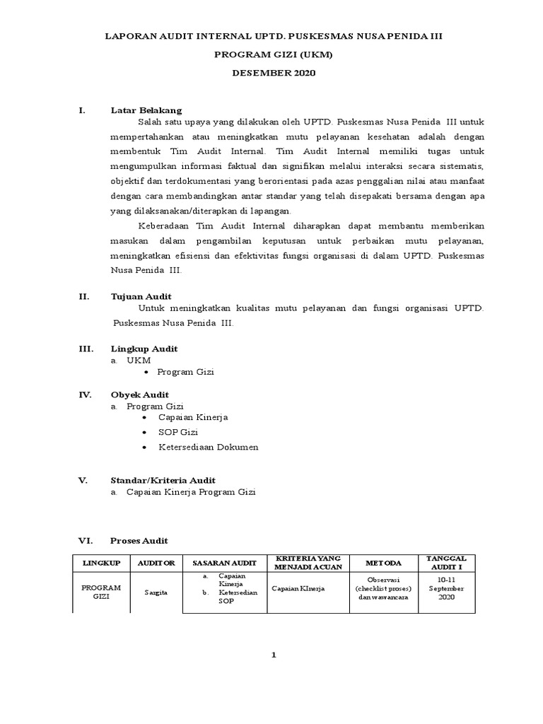 Laporan Audit Internal Program Gizi | PDF