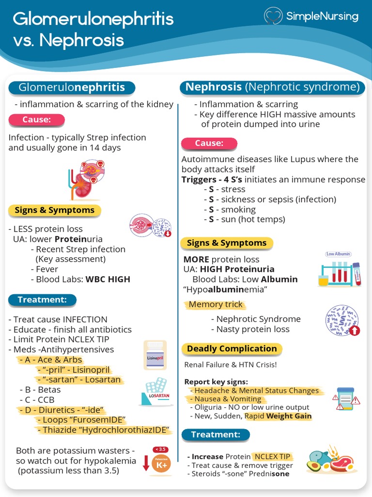 Glomerulonephritis vs. Nephrosis | PDF | Medical Specialties | Diseases ...