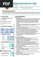 IIM CV Template | PDF