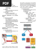 Science-Reviewer-3rd-Quarter For Grade 10 Biology | PDF | Motor Neuron | Central Nervous System