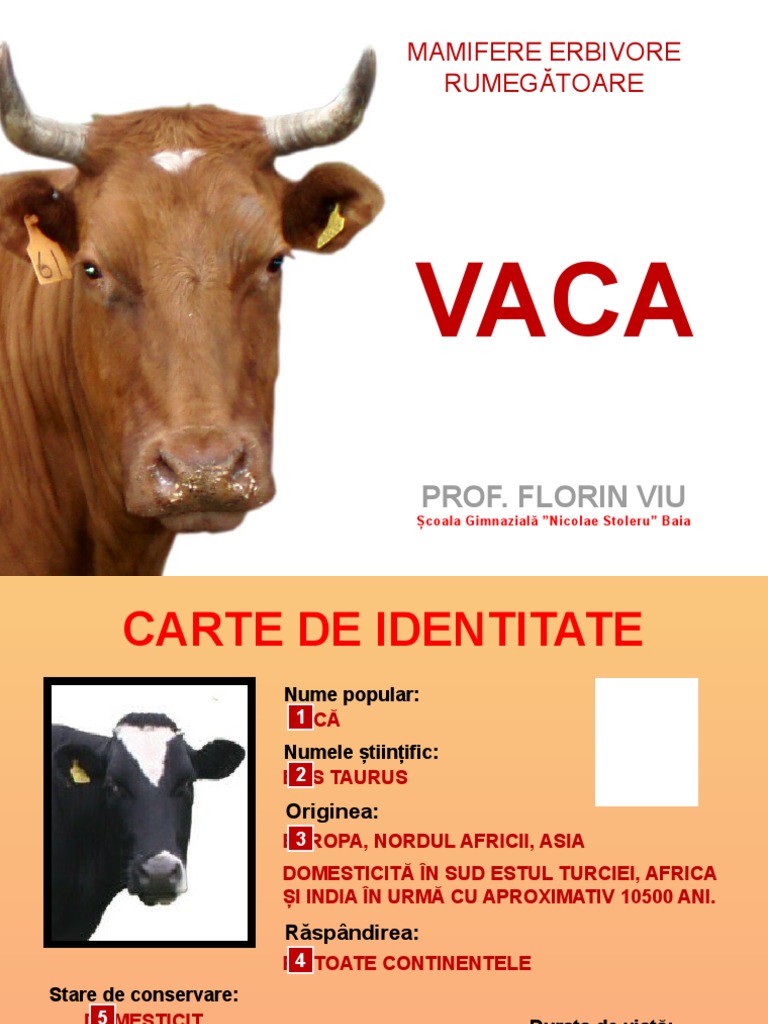 Vaca | PDF