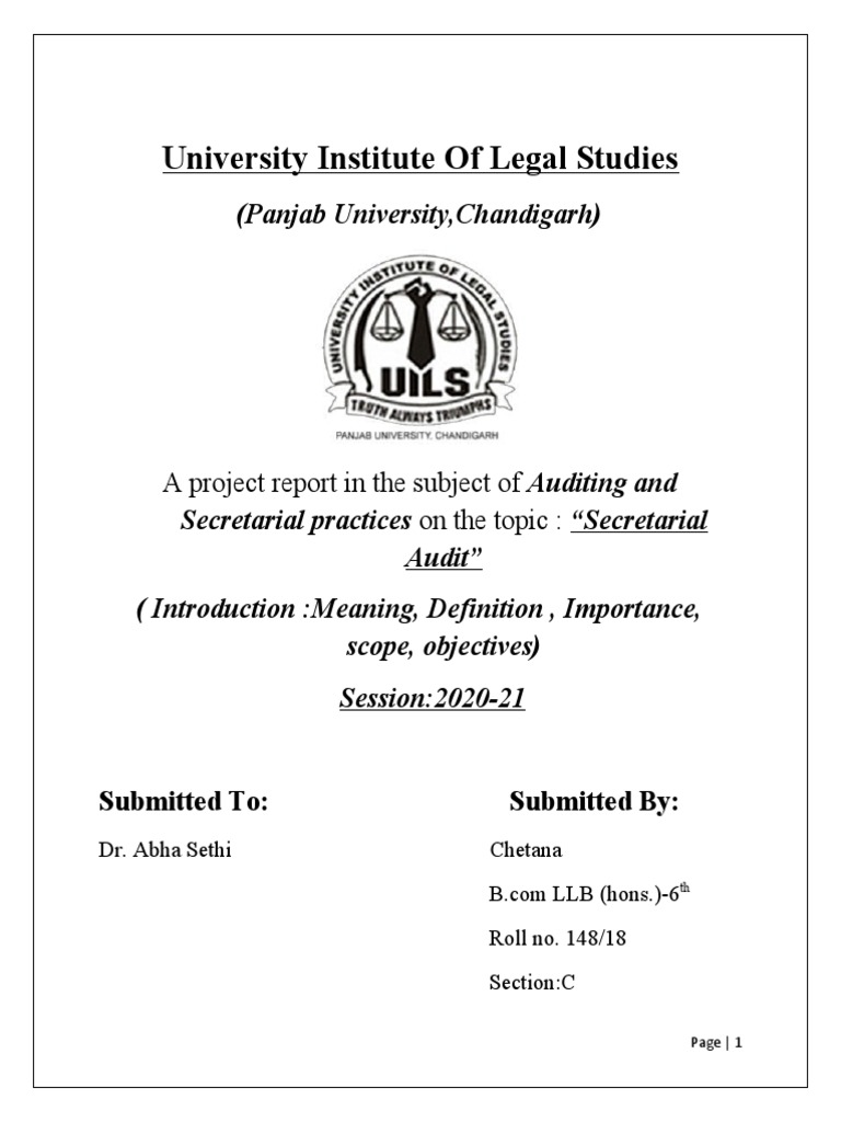 Auditing Project, 148 | Download Free PDF | Audit | Regulatory Compliance