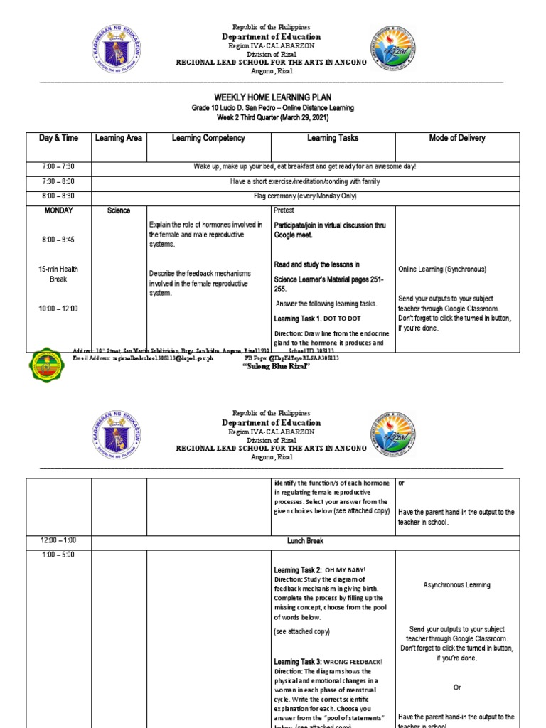 Weekly Home Learning Plan: Department of Education | PDF | Behavior ...