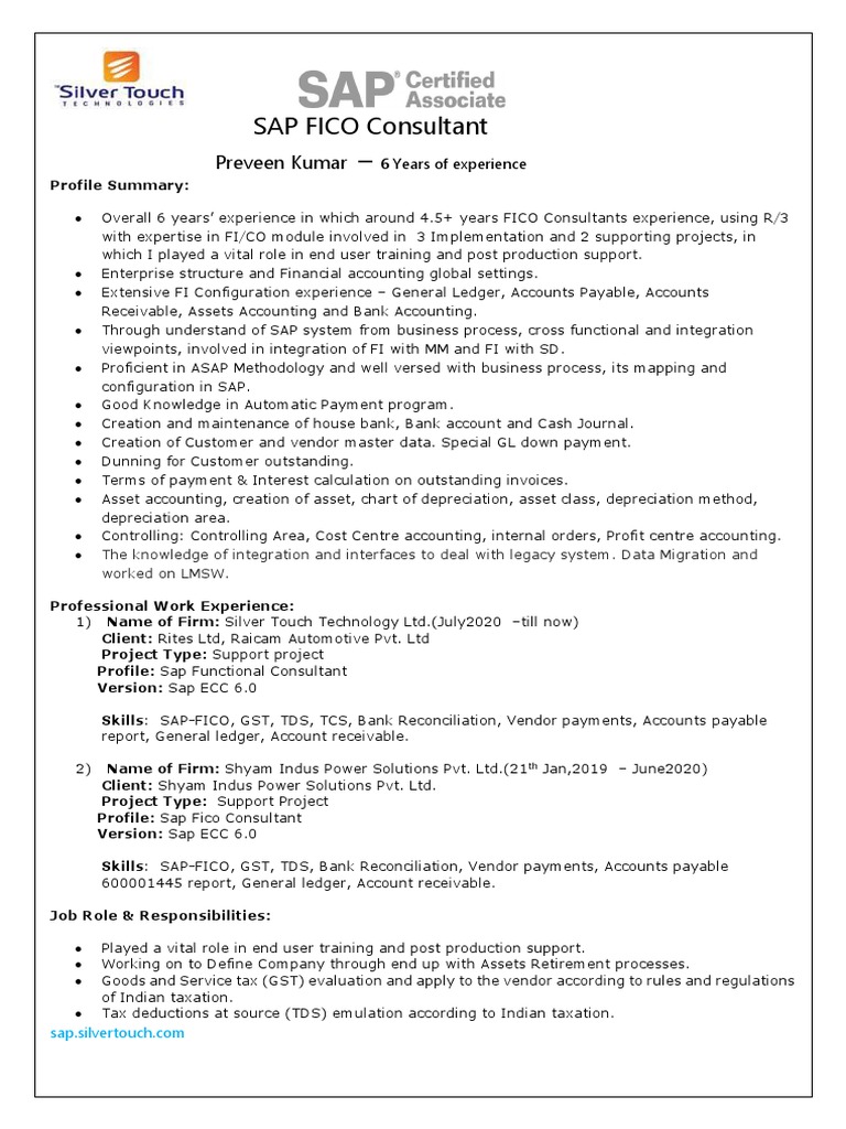 Profile of a SAP FICO Consultant with 6 Years of Experience ...