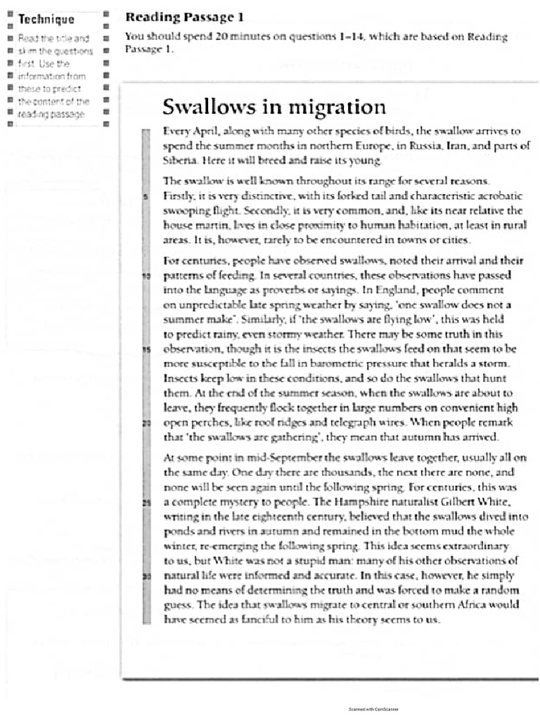Extra Reading w2 | PDF