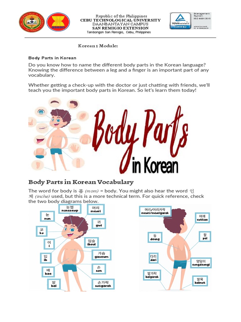 Korean 1 Module Body Parts | PDF