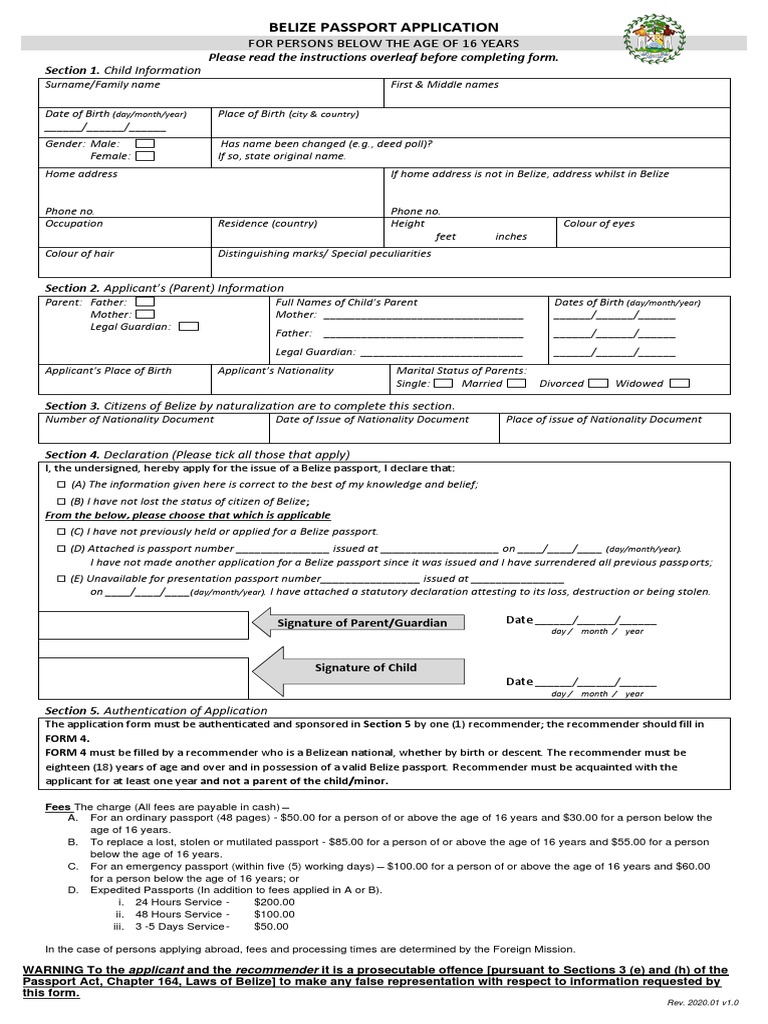 Application for a Belize Passport for Persons Below the Age of 16 | PDF ...