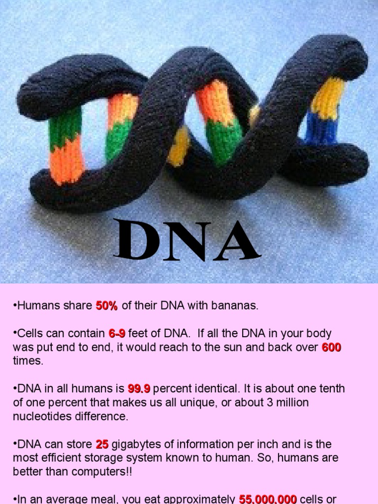 G Dna Replication | PDF | Dna | Base Pair