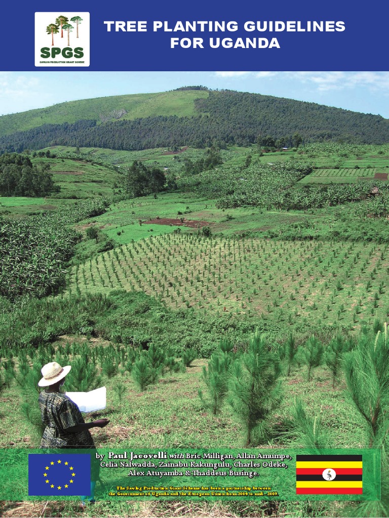 SPGS Tree Planting Guidelines For Uganda | PDF | Plantation | Forestry
