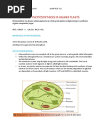 Xi - Biology - Work Sheet - Competency Based QNS | PDF | Cell Membrane | Nucleotides