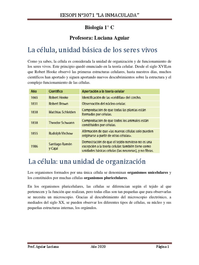BIOLOGIA - Teoria Celular | PDF | Biología Celular) | Organismos