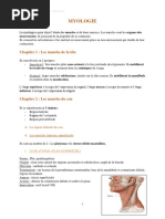 Anatomie de la région de la nuque | PDF | Vertèbre | Colonne vertébrale