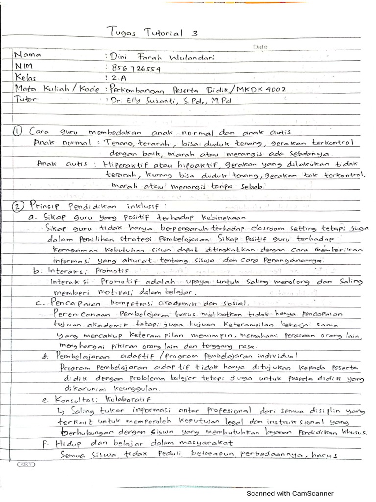 TT3 2A PPD Dini Farah Wulandari 856726554 | PDF