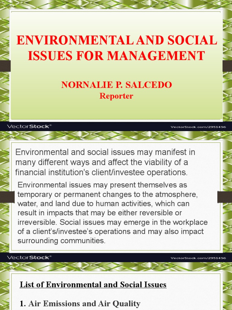 Key Environmental and Social Issues | PDF | Waste | Waste Management