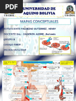 Prospecto Primperan Jarabe | PDF | Medicamentos con receta | Efecto adverso