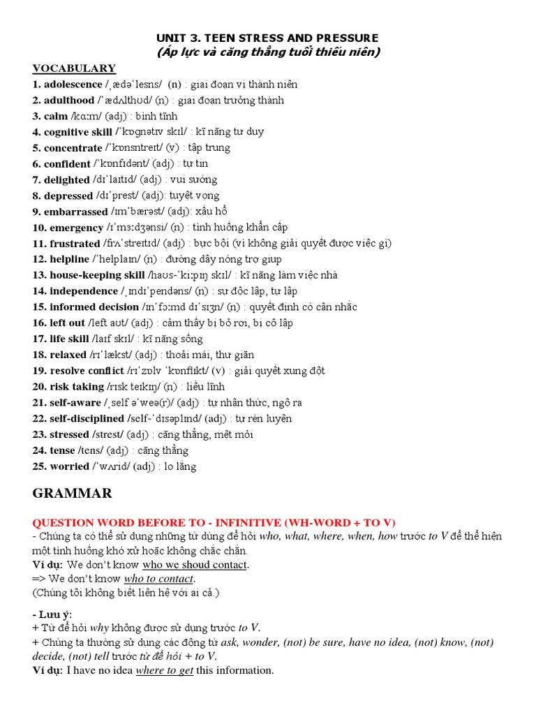 Unit 3-Vocabulary and Grammar | PDF