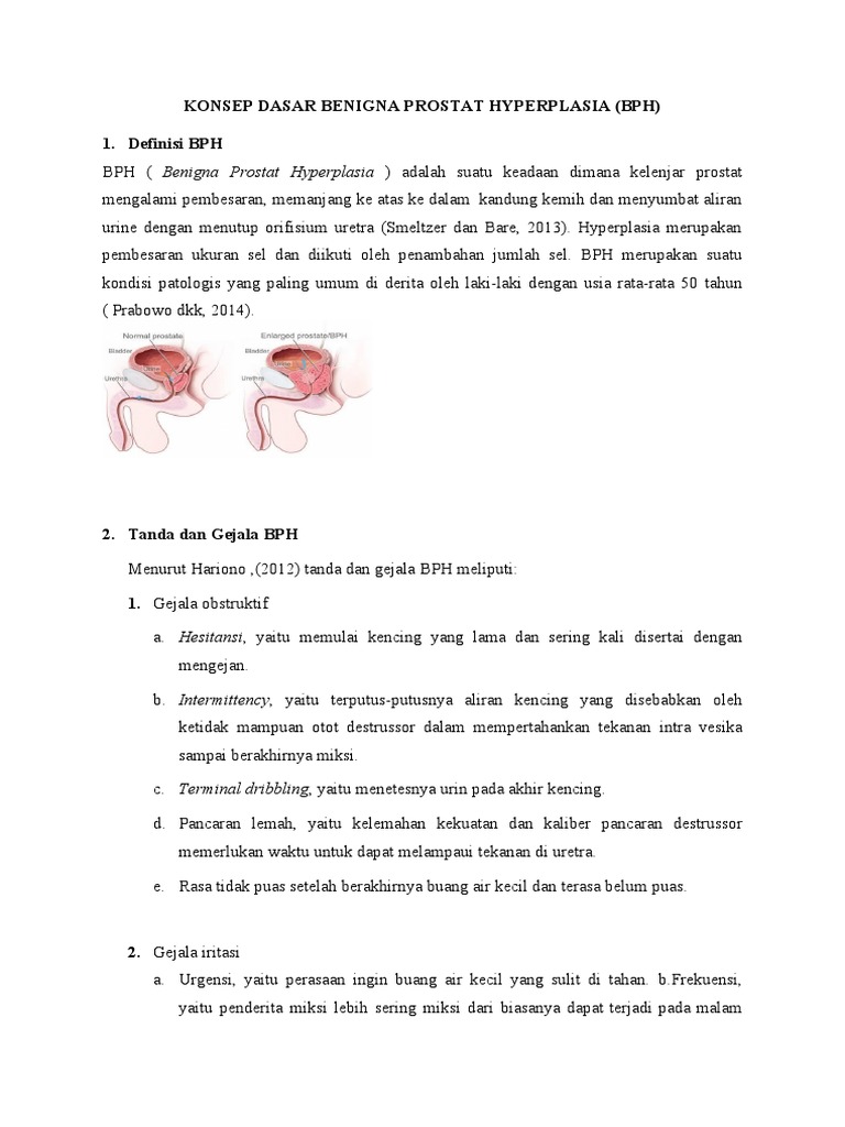 KONSEP DASAR BENIGN PROSTAT HYPERPLASIA | PDF