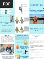 Triptico - Nom-001-Stps | PDF