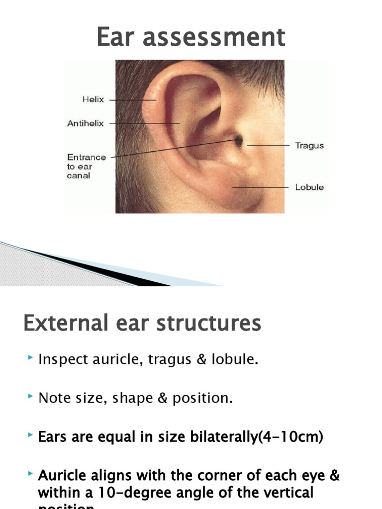 Ear Assessment | PDF | Ear | Hearing