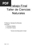 05.experimento ¿Flota o Se Hunde? | PDF | Peso | Masa