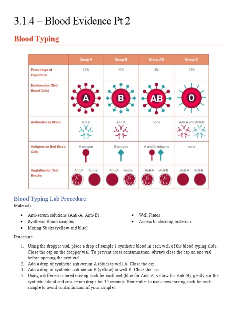 Blood Lab Outstanding Project | PDF | Experiment | Scientific Method