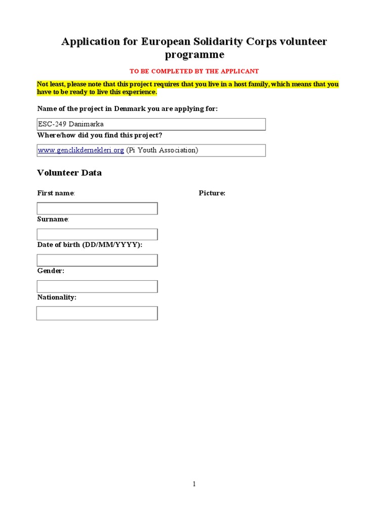 ESC 249 Danimarka Application Form | PDF | Volunteering