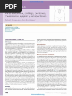 Estructura de las capas del escroto | PDF