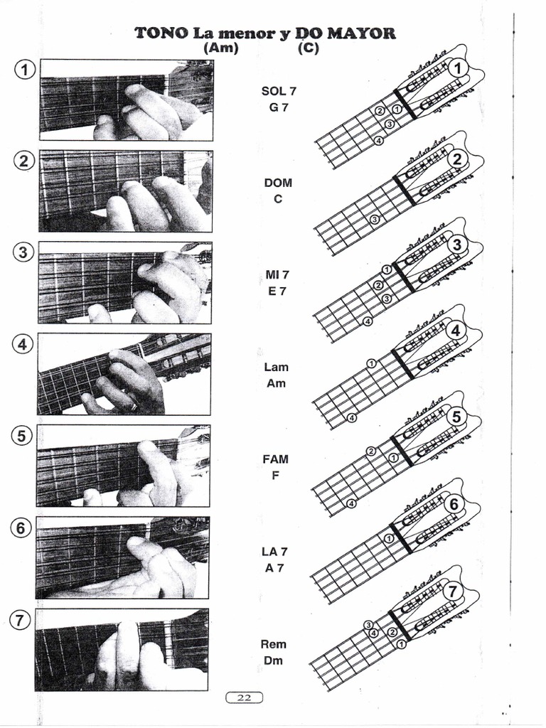 Acordes Charango C | PDF