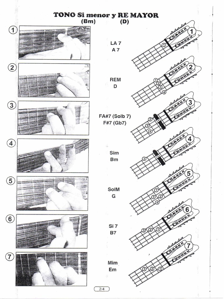 Acordes Charango D | PDF