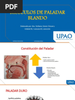 Musculos Del Velo Del Paladar | PDF | Tejido suave | Sistema ...