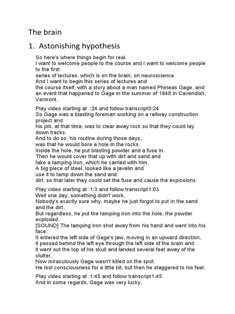 The Brain Notes | PDF | Neurotransmitter | Neuron