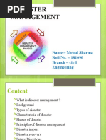 Disaster Management Poster | PDF