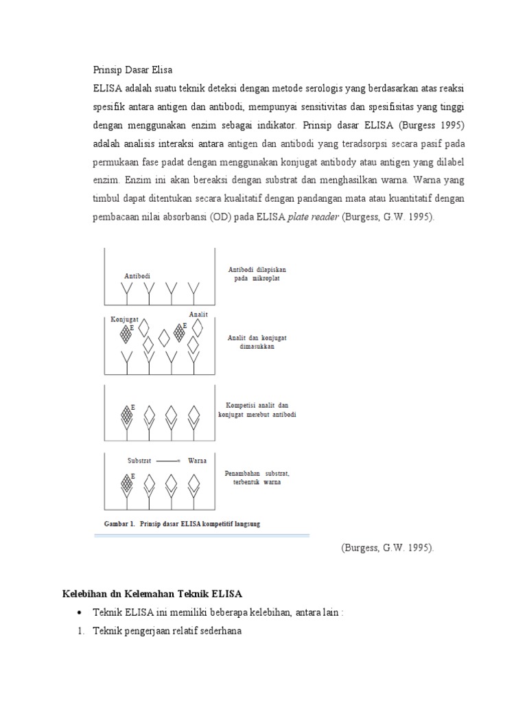 Prinsip Dasar ELISA Teknik Deteksi Antigen Antibodi | PDF
