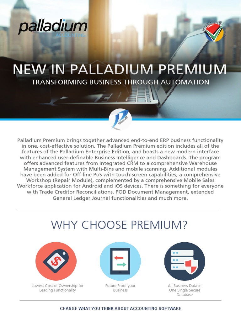 Palladium Premium 2020 | PDF | Point Of Sale | Inventory